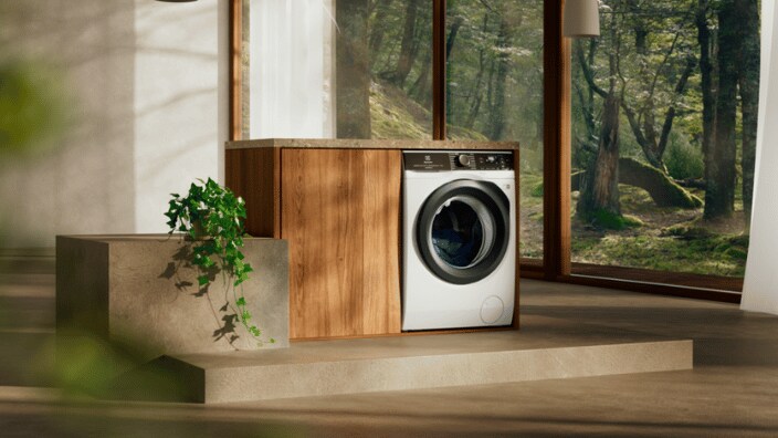 Electrolux Ecoline